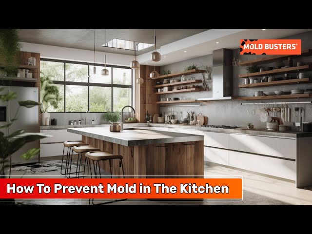 What Causes Black Mould In Kitchen Cupboards | Cabinets Matttroy