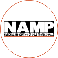 Mold Removal Carleton Place | Test Your Home for Mold & Asbestos