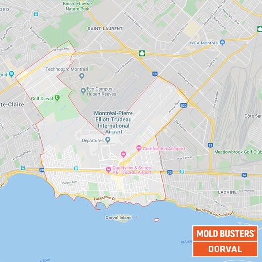 Dorval Mold Removal & Asbestos Testing | Mold Busters