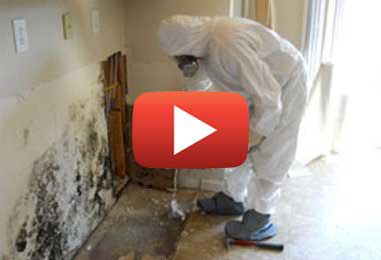 Mold Inspection and Detection Services | Mold Busters