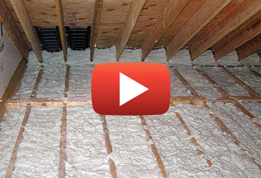Insulation Inspection in Ottawa & Montreal | Mold Busters