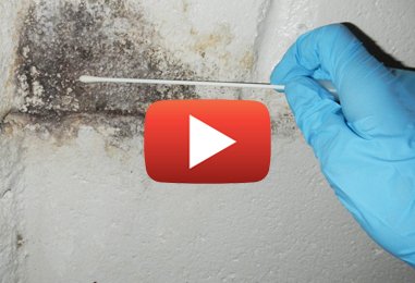 Visual Inspection Services in Ontario and Quebec | Mold Busters