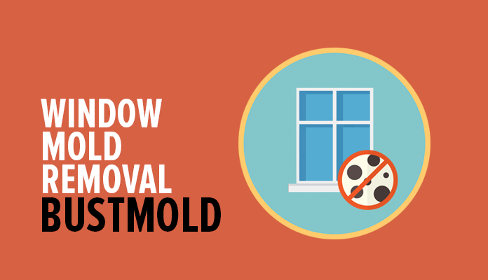 Window Mold - How to Remove Mold on Windows | Mold Busters