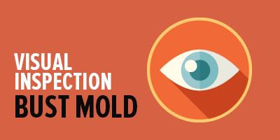 Services d’inspection visuelle au Québec et en Ontario | Mold Busters