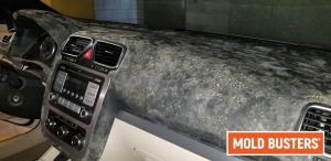 Car Mold | Professional Car Mold Removal Services