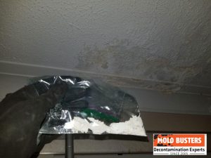 Mold on Popcorn Ceiling - How to Tackle the Danger Properly | MoldBusters
