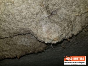 Mold on Popcorn Ceiling - How to Tackle the Danger Properly | MoldBusters