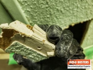 Mold on Popcorn Ceiling - How to Tackle the Danger Properly | MoldBusters