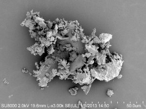 ERMI Test - All ERMI Molds & How to Interpret The Results