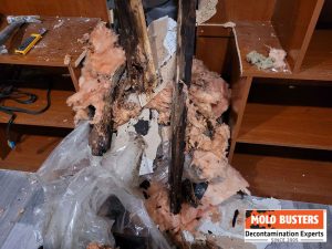 Mold on Insulation - Ultimate Guide with All Questions Answered