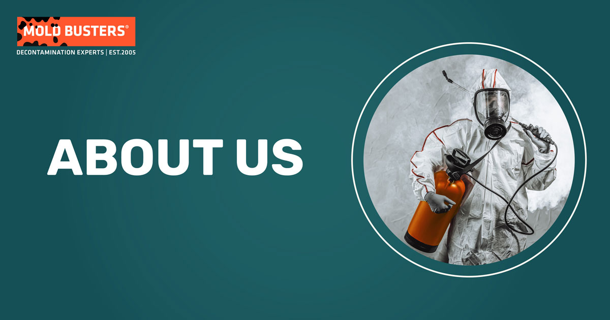 About Mold Busters | The Mold Removal & Air Quality Experts