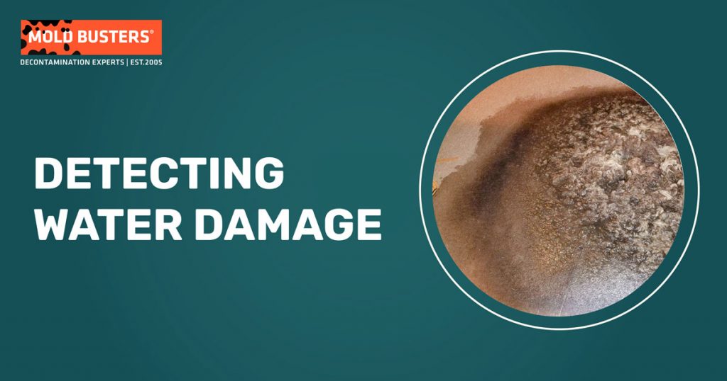 Detecting Water Damage with Infrared Cameras | Mold Busters