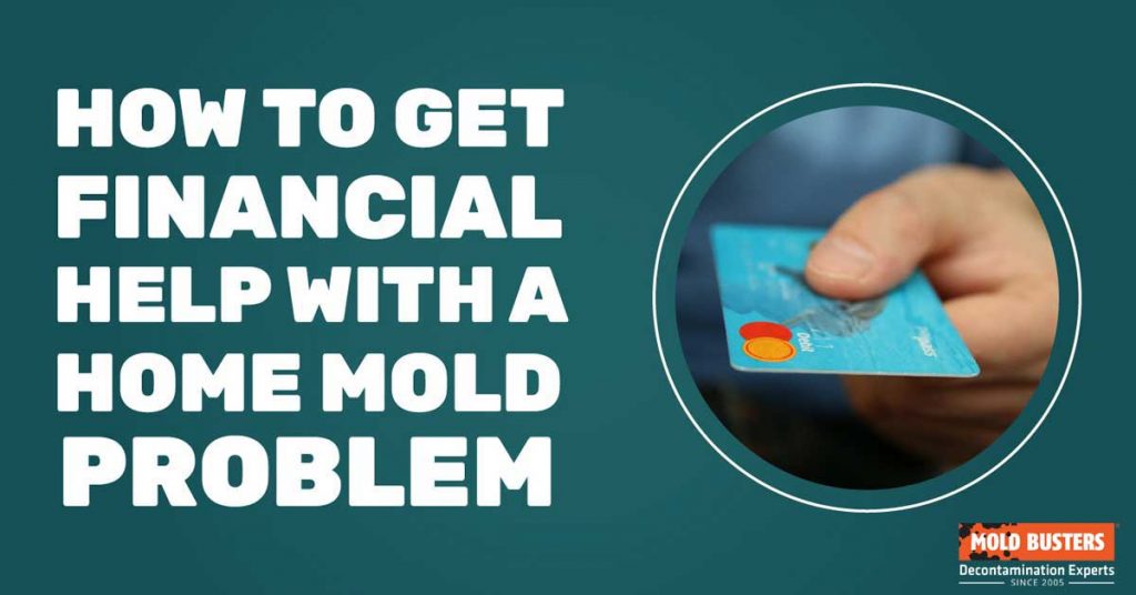 Get Financial Assistance for Mold Remediation Projects | Mold Busters