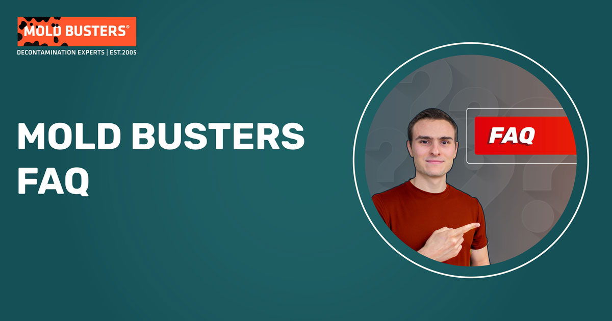 Frequently Asked Questions | Mold Busters
