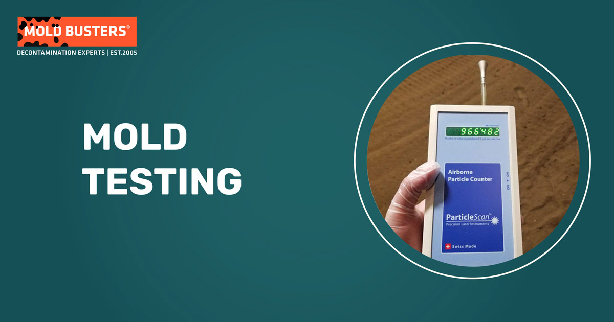 Expert Mold Testing Services - Mold Busters