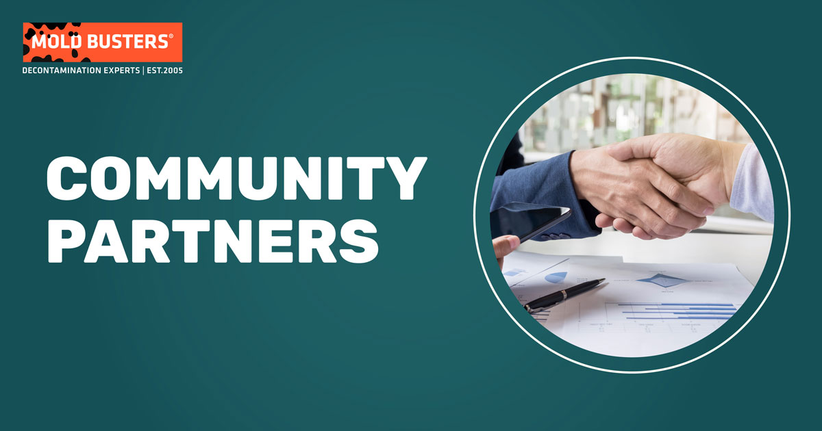 Mold Busters' Community Partnerships: Collaborating for a Healthier ...