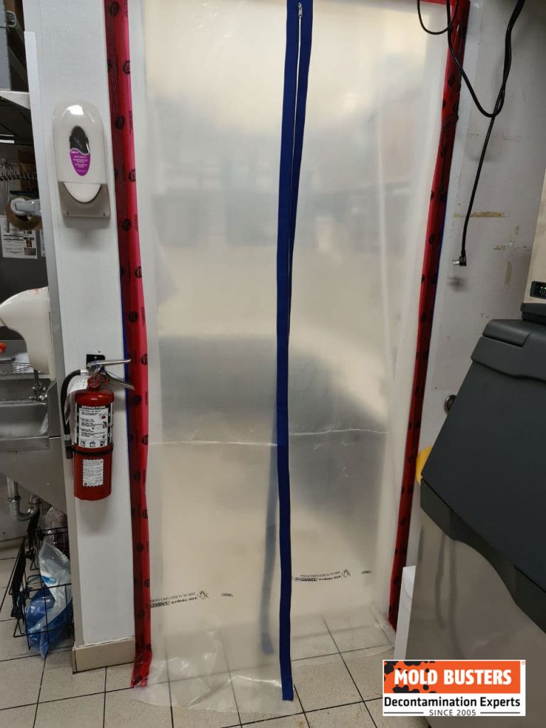 Mold in Workplace - What to Do if You Find Mold in Your Workplace