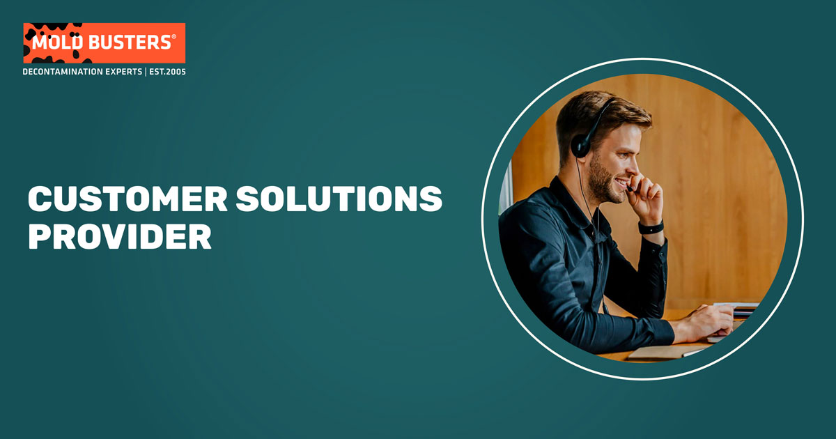 Customer Solutions Provider - Work from Home | Mold Busters