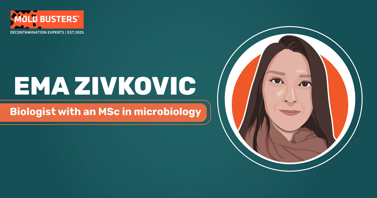 Ema Zivkovic - Mold Library