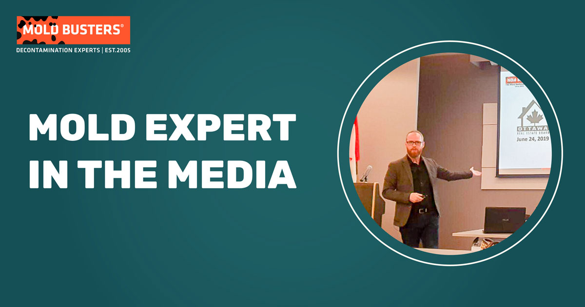 Mold Busters in the Media | Trained & Certified Mold Experts