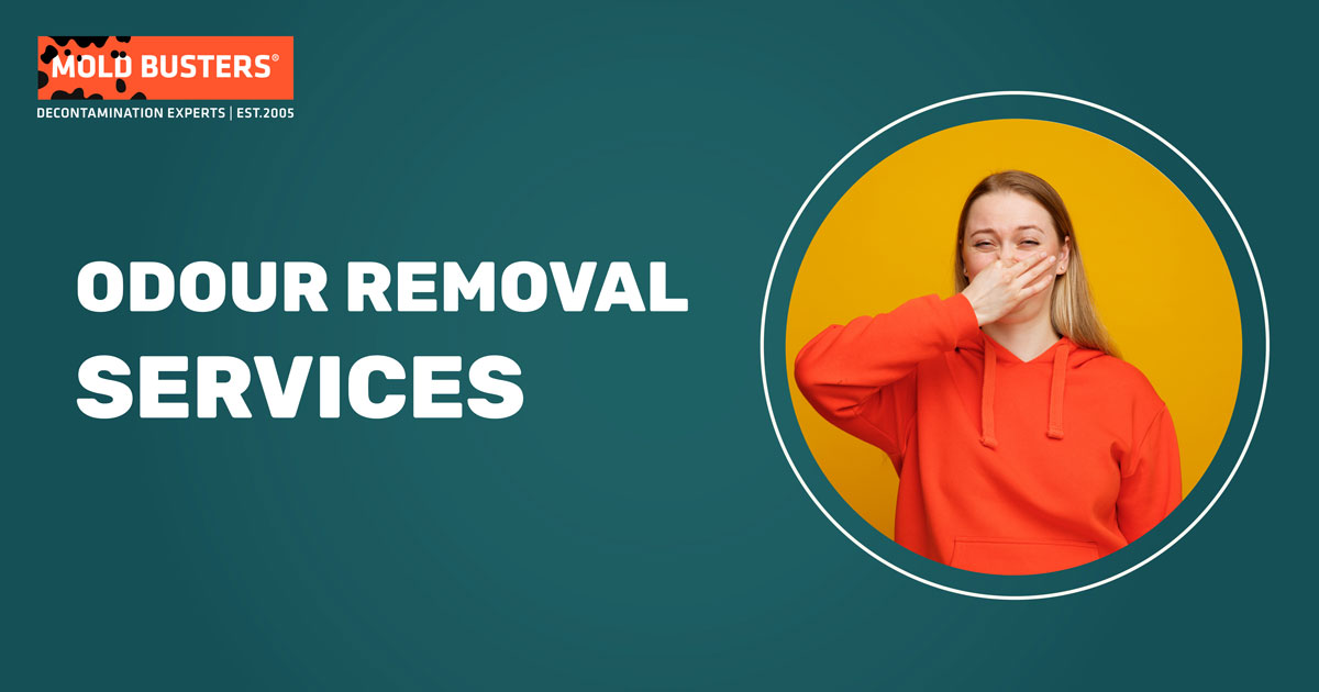Professional Odour Removal Services | Mold Busters