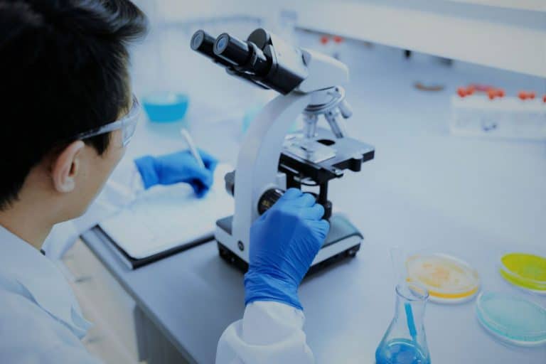 Mold Test Kit | DIY Toxic Mold Test by Mold Busters