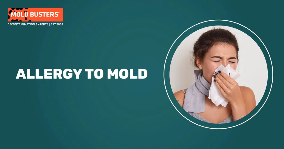 Mold Allergies: Guide to Symptoms, Treatment, and Prevention