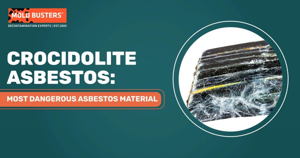 Crocidolite Asbestos - Most Dangerous Asbestos Material