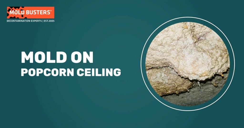 Mold on Popcorn Ceiling - How to Tackle the Danger Properly | MoldBusters