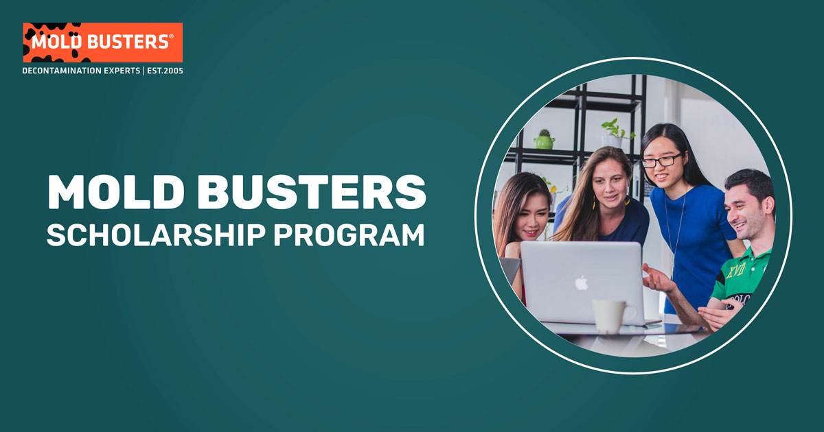 Mold Busters Scholarship | Win a scholarship with your brilliant talent