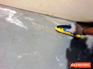 Mold vs Efflorescence - How to Identify the Difference?