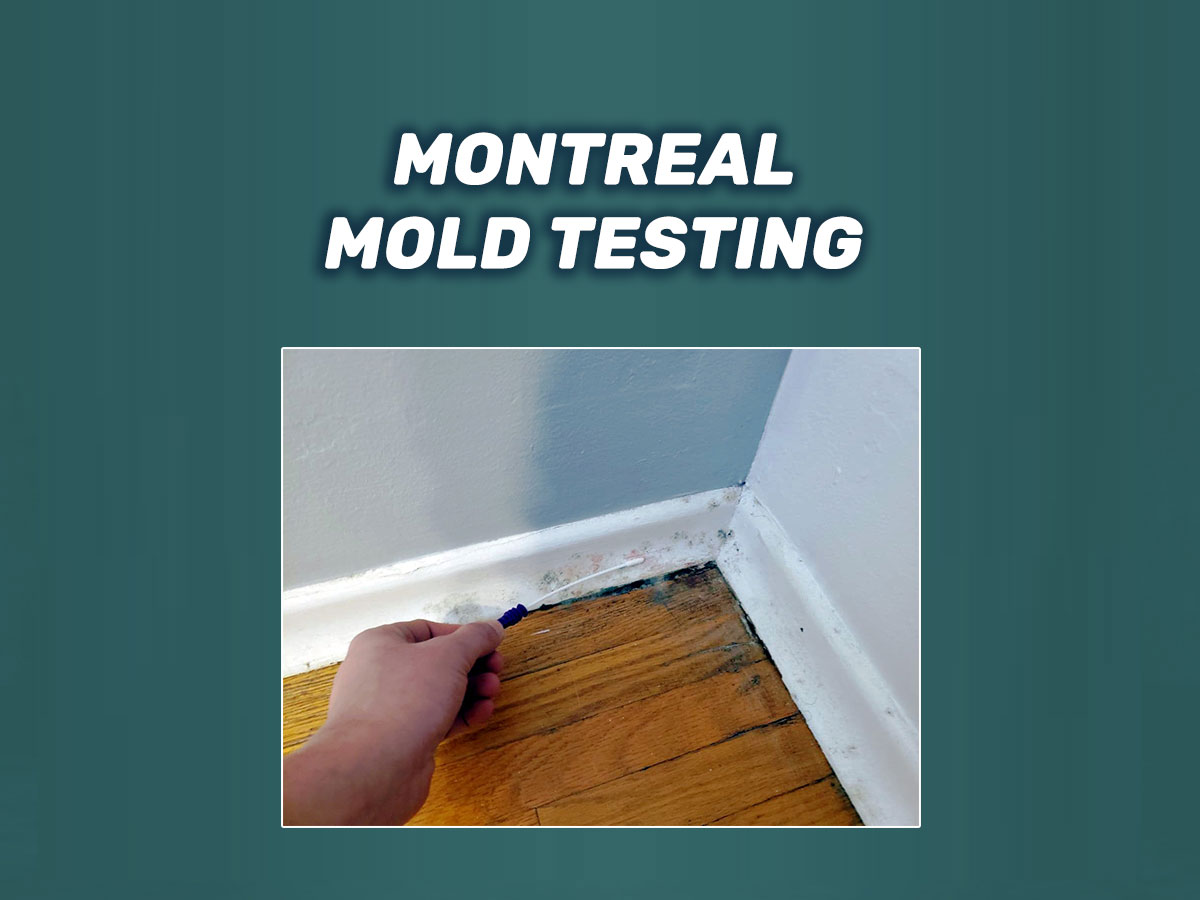 Mold Testing Montreal | Mold Busters