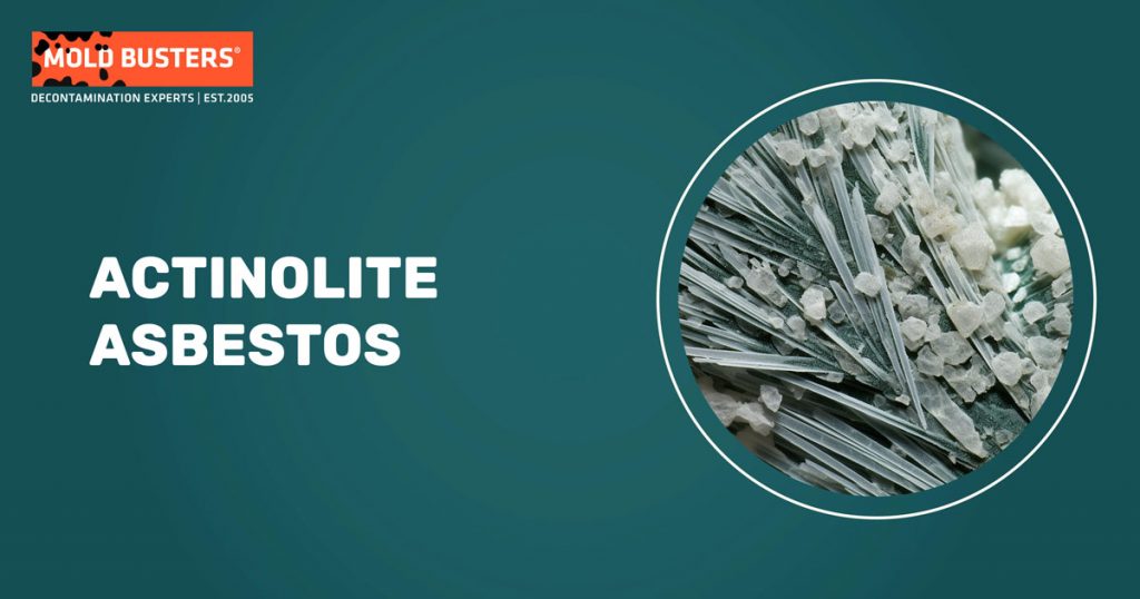 Actinolite Asbestos: Uncovering Its Risks and Regulations
