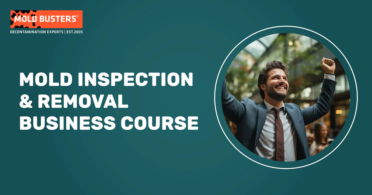Take Your Mold Inspection & Removal Business to the Next Level