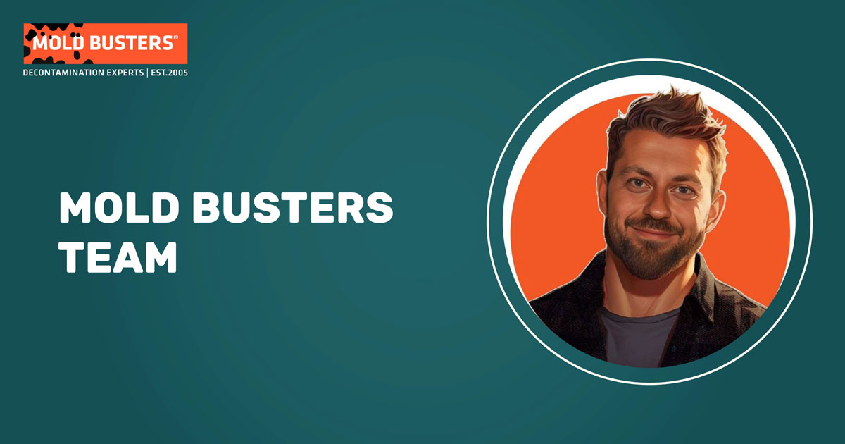 Mold Busters Elite Team - Certified Experts