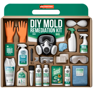Mold Remediation Kit: Safe & Effective DIY Solutions