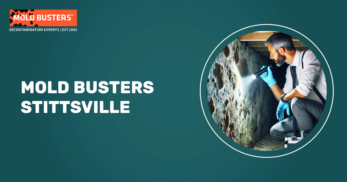 Mold Removal Stittsville: Safe & Effective Services for Your Home