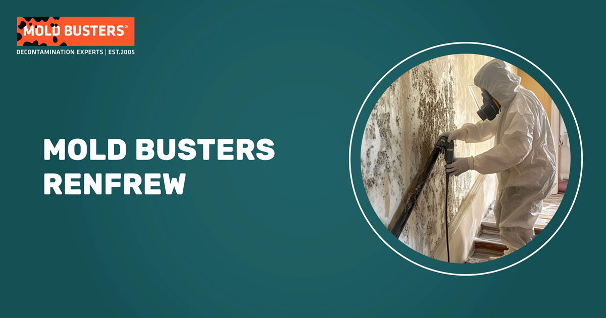 Expert Mold Removal Renfrew ON | 24/7 Emergency Service