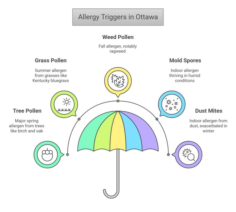 Allergens and Pollen in Ottawa: What You Need to Know | Mold Busters