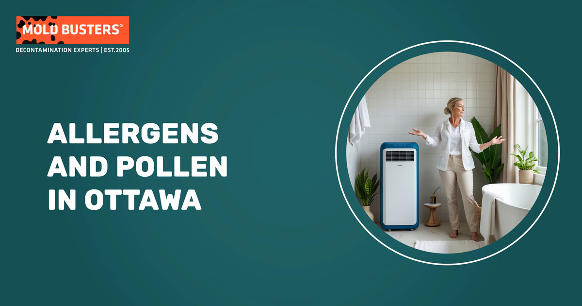 Allergens and Pollen in Ottawa: What You Need to Know | Mold Busters